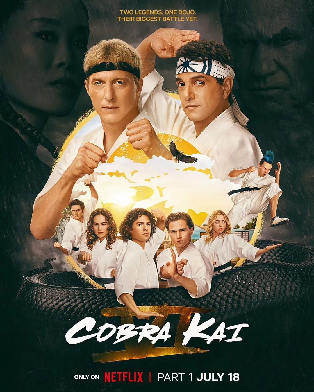 Resenha do Filme A Baleia (2022, Darren Aronofsky) - Leia e Assista